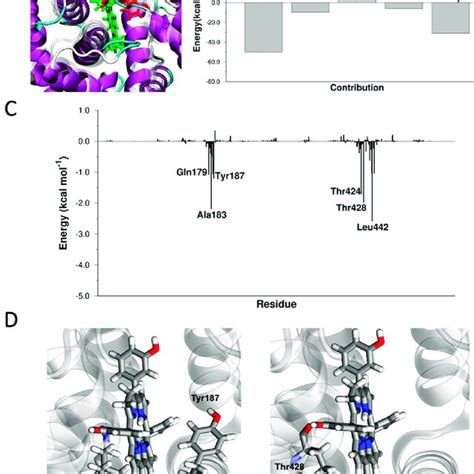 A Superposition Of The Docked Structure Of Mthpc In Afamin In Green