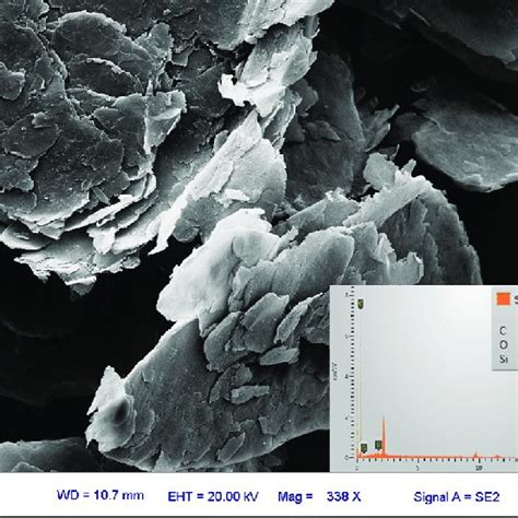 Scanning Electron Micrograph And Eds Analysis Of The Graphene