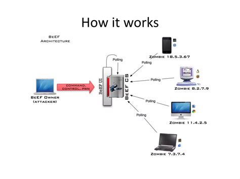 Browser Exploit Framework Pdf Internet Computing