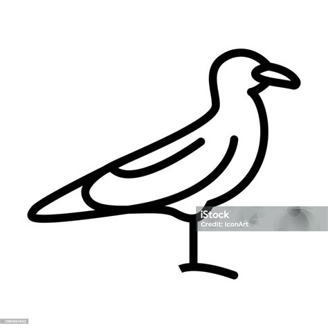 항해 컬렉션에서 갈매기 아이콘 얇은 선형 갈매기 바다 흰색 배경에 고립 된 여름 윤곽 아이콘 라인 벡터 갈매기 기호 웹 및 모바일 기호 등대에 대한 스톡 벡터 아트 및 기타