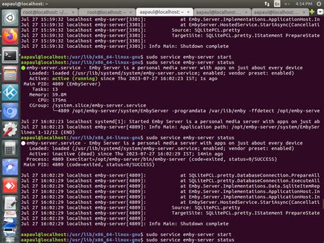 Emby Server Service Or Exe File Is Not Running Linux Emby Community