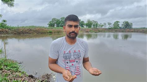 এটা পুখুৰীত 6 মাহত 4 লাখ লাভ কৰিবলৈ এইটো চাওক🐟😳মাছৰ সম্পূৰ্ণ দানা কি কিমান আৰু কেনেকৈ দিব লাগে