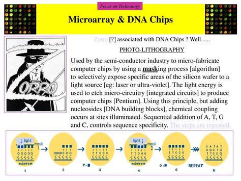 Ppt Microarray For Dummies Powerpoint Presentation Free Download Id3411303