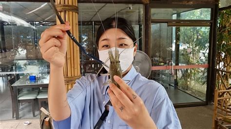 신혼여행가서 새우 잡는 부부 브이로그 Youtube