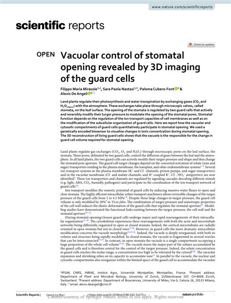 Pdf Vacuolar Control Of Stomatal Opening Revealed By 3d Imaging Of