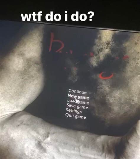 Pathologic Keeps On Glitching Out Like This What Should I Do R Pathologic