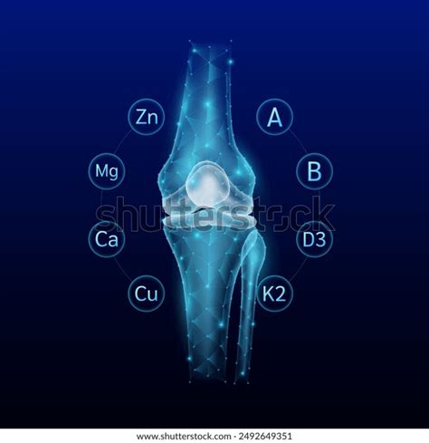 Leg Bone Translucent Polygon Style Surrounded Stock Vector Royalty Free 2492649351 Shutterstock