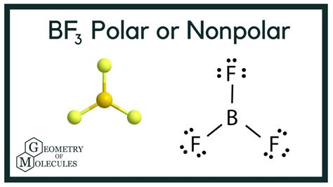 Both BF3 And NF3 Are Covalent Compounds But NF3 Is A Polar, 44% OFF