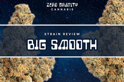 Big Smooth Strain Review Zero Gravity Cannabis