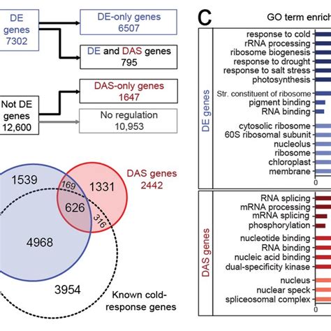 differential expression de and differential alternative splicing