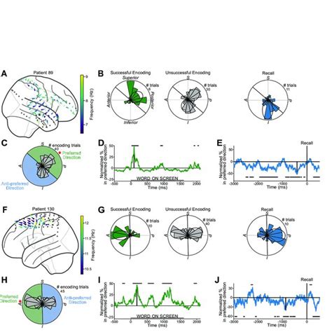 Figure S6 Traveling Waves In Example Subjects Who Showed A Link