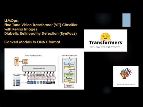 Free Video Fine Tuning Vit Classifier For Retina Images And Converting