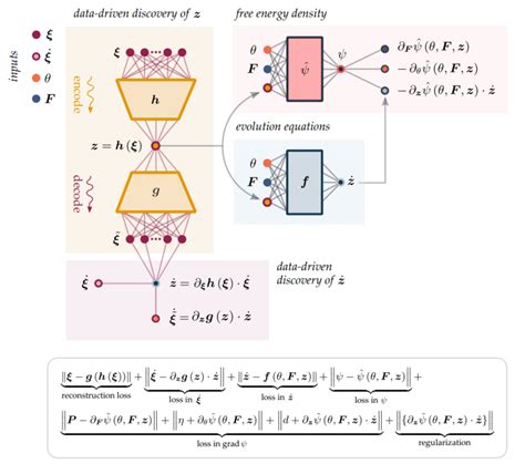 Evolution Tann For The Data Driven Discovery Of Internal Variables And