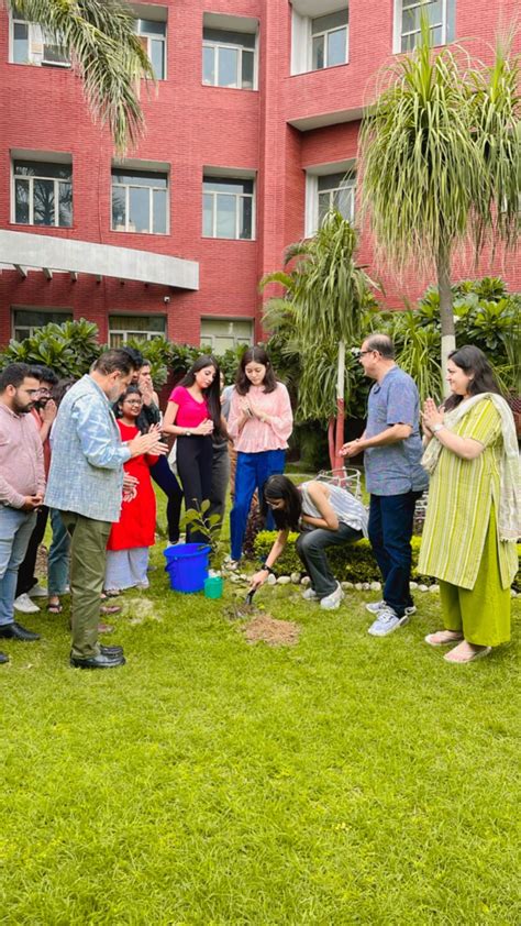 gaurav verma on linkedin tree plantation s day on the occasion of