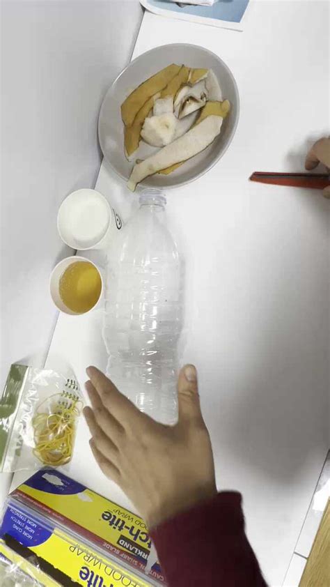 직접 초파리 날파리 트랩 만들기로 전부 퇴치하세요 네이버 블로그