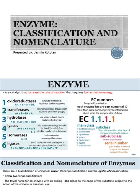Enzyme Classification And Nomenclature Jasmin Pdf Enzyme