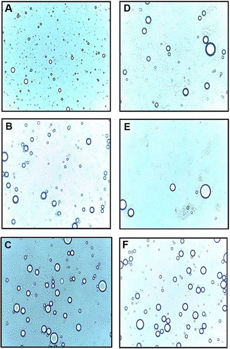 Microstructure Of Different Emulsions Taken At 40 × Magnification A Download Scientific