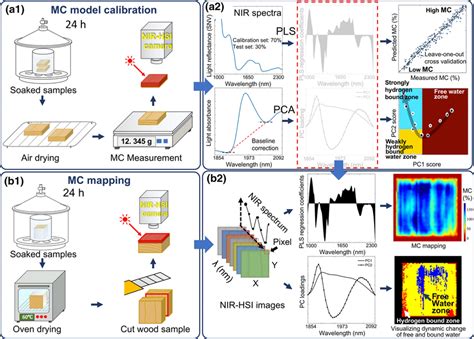 Nir Hyperspectral Images Collection And Imaging Analysis For Mc