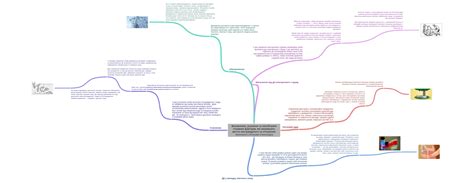 Визначення усунення та запобігання головних факторів які загрожують…