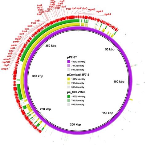 The Procedure And Interpretation Of Mcim And Ecim A A 1 μl Loopful Of Download Scientific
