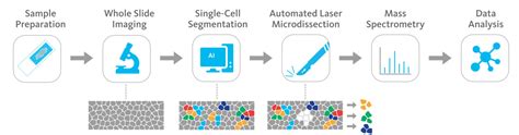 Automated Single Cell Isolation For Spatial Omics
