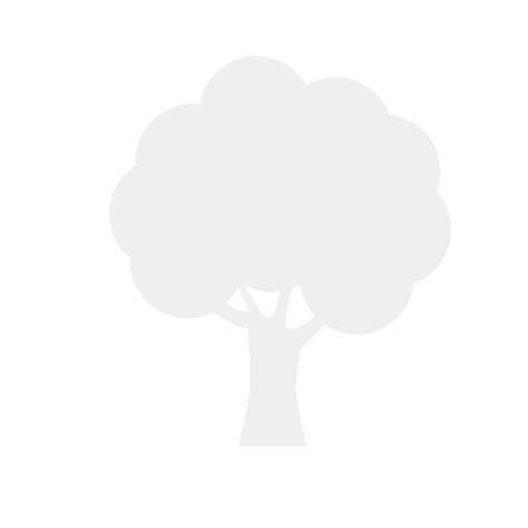 Sycamore Tree The Living Sanctuary