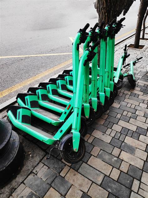 Shared Electric Scooters Parked In Row In Street Cropped View Of Green