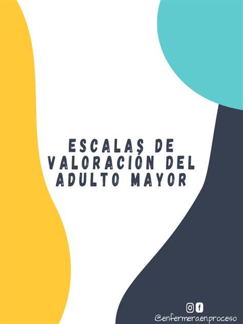 Escalas De Valoración Del Adulto Mayor Pdf Vejez