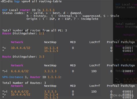 【hcie】mpls Vpn 防环特性 Soompls Soo Csdn博客 【hcie】mpls Vpn 防环特性 Soompls Soo Csdn博客