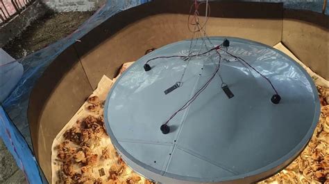 যশোর এগ্রো ফার্ম এন্ড হ্যাচারি এখানে সকল প্রকার বাচ্চা পাওয়া যায় Youtube