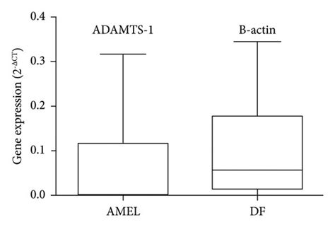 Adamts 1 And Versican Gene Expression Are Downregulated In