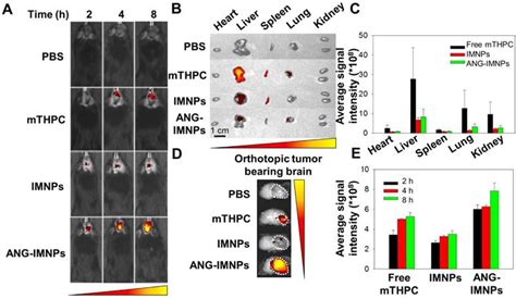 Targeted Delivery Of Functionalized Upconversion Nanoparticles For