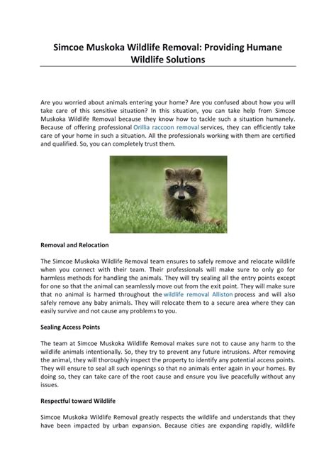 PPT Simcoe Muskoka Wildlife Removal Providing Humane Wildlife Solutions PowerPoint