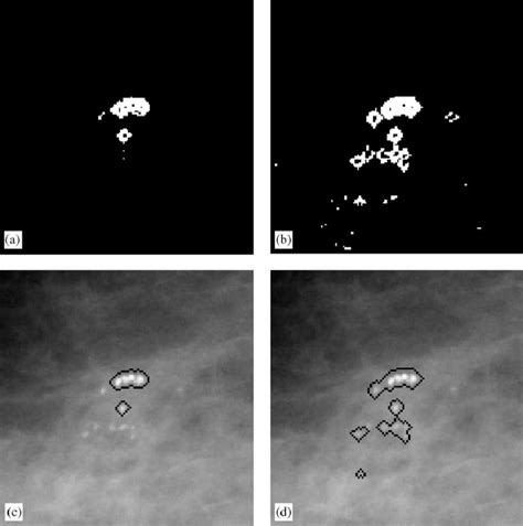 illustration of the use of proposed method a and b image details