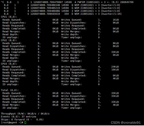 性能分析与调优 linux 磁盘i o 观测工具 linux查看io性能 csdn博客