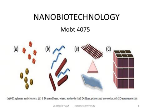 Pdf Nanobiotechnology