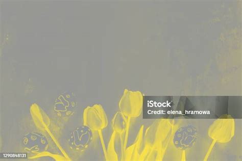 튤립 꽃과 부활절 달걀 휴일 배경 상단 보기 플랫 레이 2021년 올해의 옐로우 와 얼티밋 그레이 컬러를 일루미네이션 0명에 대한 스톡 사진 및 기타 이미지 Istock