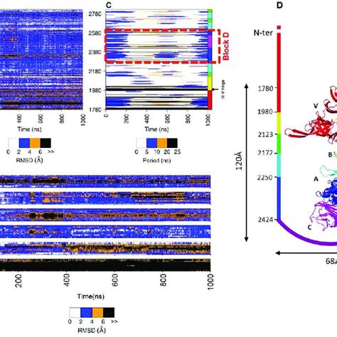 Dynamical Cross Correlation Dcc Analysis A Dcc Map Of Δn 123
