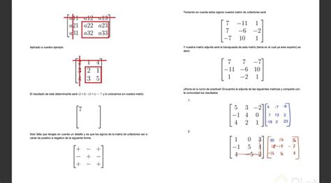Ejercicios de Matriz Inversa Métodos y Práctica Efectiva