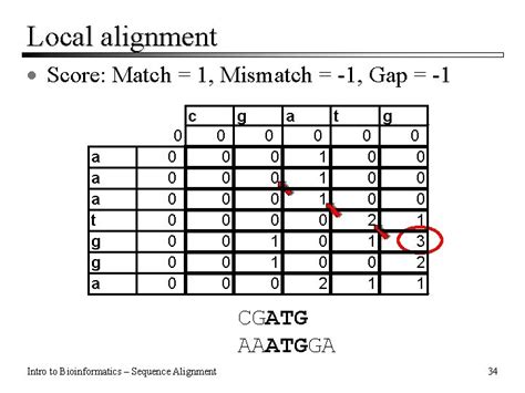 Introduction To Bioinformatics Sequence Alignments Sequence Alignments Cornerstone
