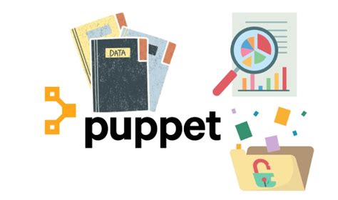 Overview Of PuppetDB Naukri Code