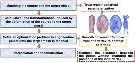 Trust Region Spherical Parameterization For 3d Mesh Deformation Download Scientific Diagram