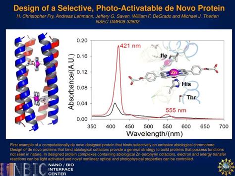 Ppt Design Of A Selective Photo Activatable De Novo Protein Powerpoint Presentation Id3100383
