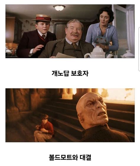 해리포터의 멘탈을 알아보자  인기 게시물 시보드