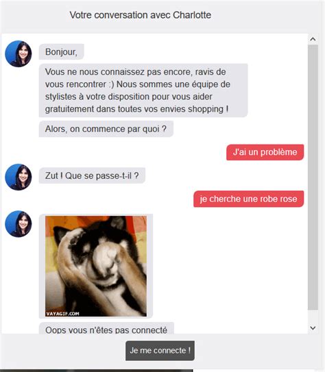 10 Exemples De Chatbots à Utiliser Pour Son Business Alioze