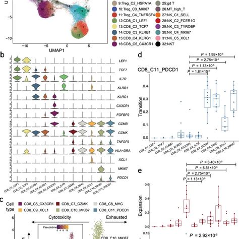 Expression Profile And Development Of Cd8⁺ T Cells A Umap Plot Of