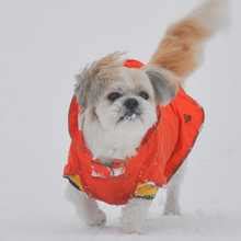 Python Tips あるオブジェクトが特定のクラスのインスタンスかチェックしたい