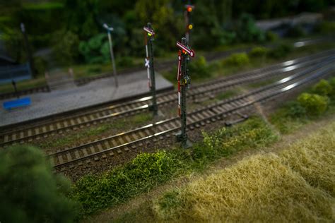 무료 이미지 나무 잔디 선로 꽃 기차 교통 수송 녹색 차량 흙 세트 세밀화 트랙 박람회 장난감 레플리카 전시회 모델링 마퀴트 전기 같은