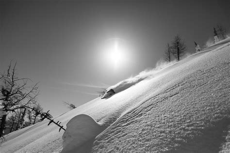 Nick Naultnick Nault