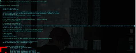 Javascript Nginx Reverse Proxy Does Not Proxy An Express App Stack